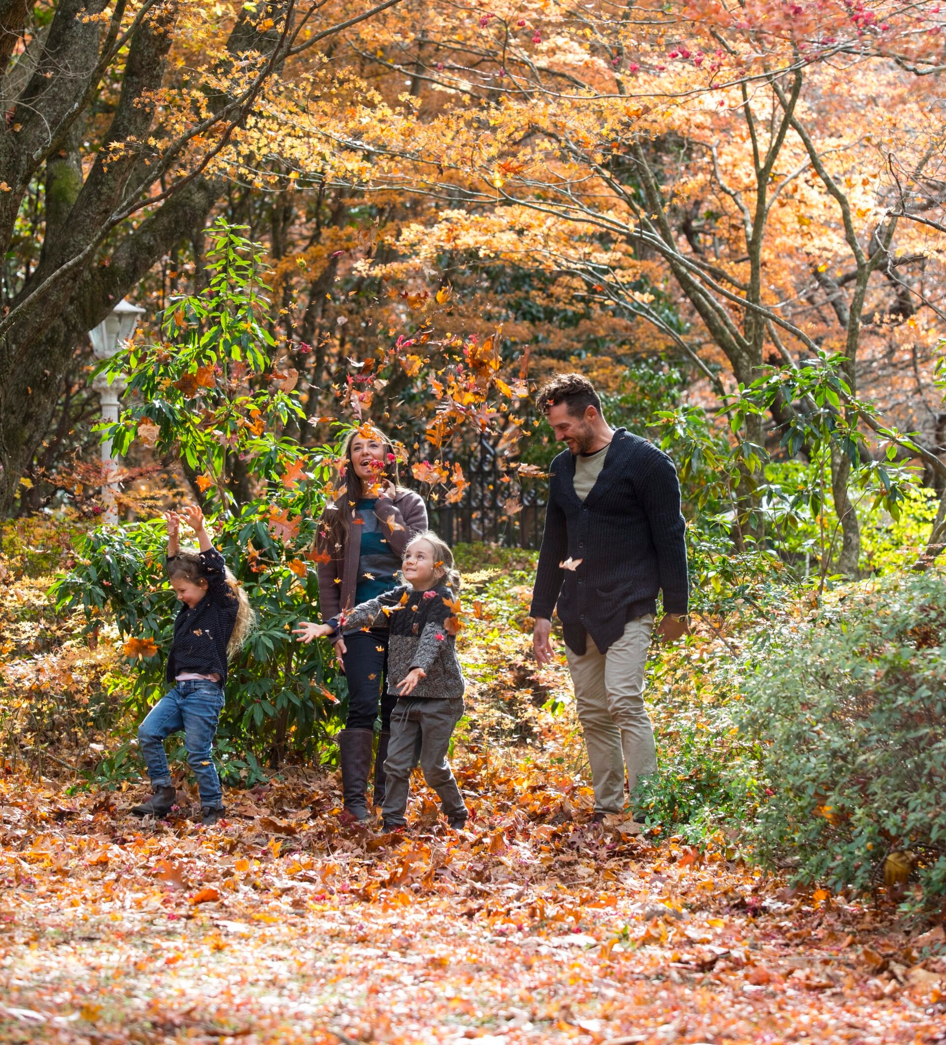 Autumn in the Blue Mountains: Exploring the Vibrant Colors - Blue ...