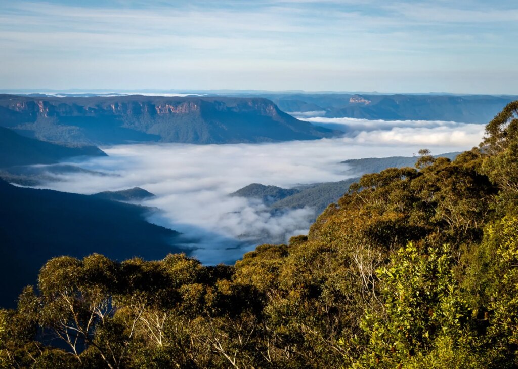 Five Facts You Didn’t Know About the Blue Mountains - Blue Mountains ...