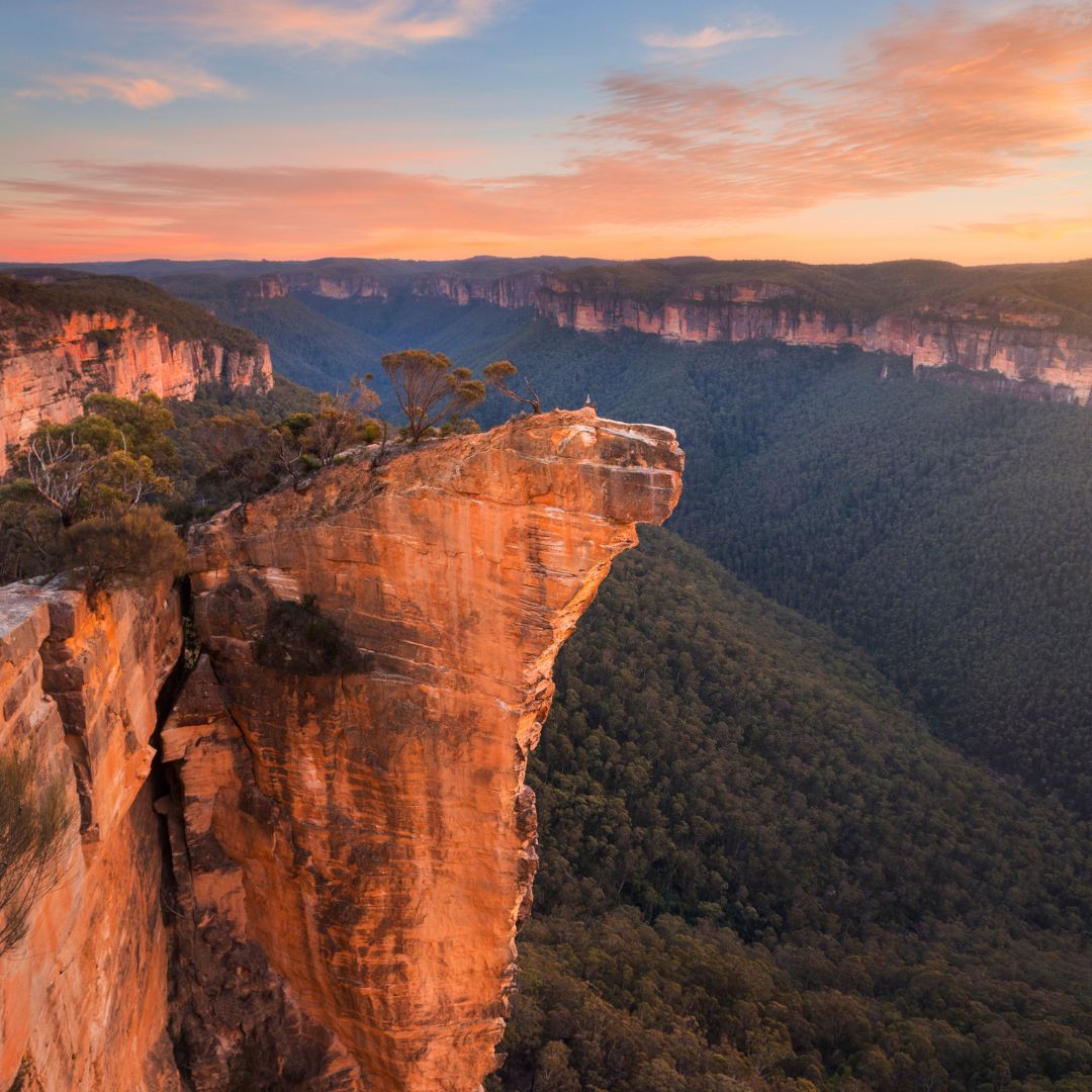 Five Facts You Didn’t Know About the Blue Mountains - Blue Mountains ...